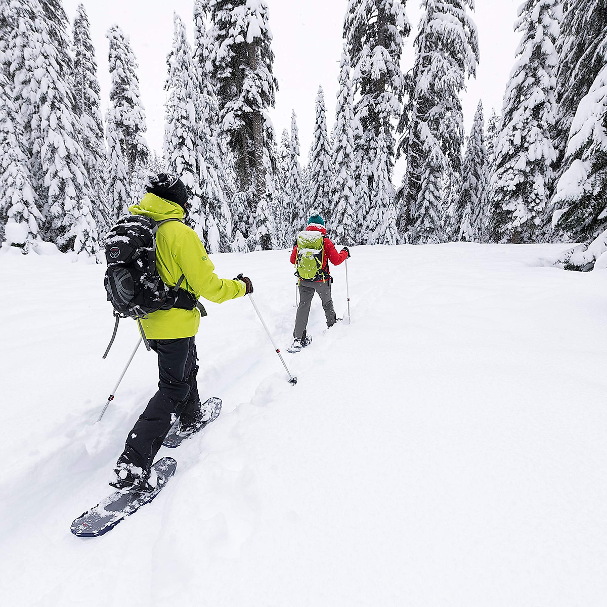 MSR DynaLock Trail 2-Section Alumunium Backcountry Poles, White, 80-140cm