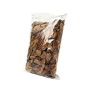Live Oak Leaf Litter (1 Gallon)