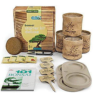 Bonsai Starter Kit - DIY Bonsai Growing Gift - Garden Hobbies for Adults, Women & Men : 4 Unique Tree Seeds, Soil, Pots, Pruning Shears, Plant Markers + Wood Gift Box