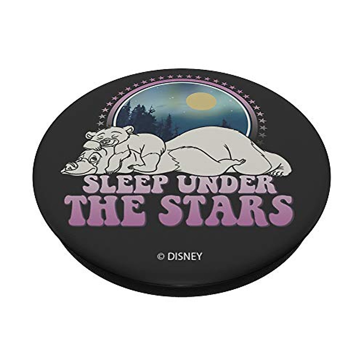 Disney Brother Bear Kenai And Koda Sleep Under The Stars