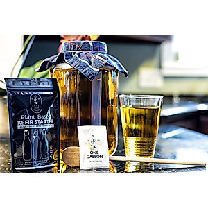 Anvil Traditional Healing Homemade Probiotic Kefir Starter Culture Kit - Non-GMO, Organic, Vegan, Pure & All Natural - High In dose, Grow your own probiotic | Produces 12 Quarts/3 Gallons Per Pack