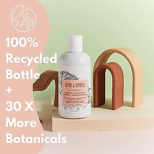 Gryph and IvyRose Daily Embrace 2-in-1 Sulfate Free and Paraben Free Shampoo and Conditioner - Soft Hair Hydration Shampoo/Conditioner - Goji Berry & Ginger (1-Pack)