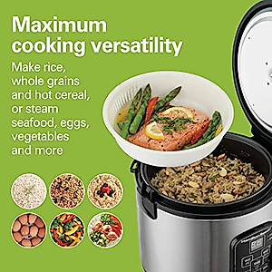 Hamilton Beach Digital Programmable Rice Cooker & Food Steamer, 8 Cups Cooked (4 Uncooked), With Steam & Rinse Basket, Stainless Steel (37518)