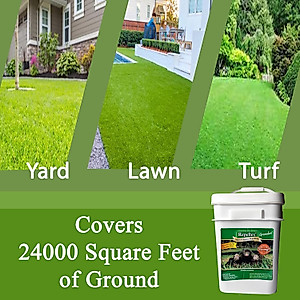 Repellex 10545-SCP Mole/Gopher Repellent 24 lb. with Scoop Granule, Black