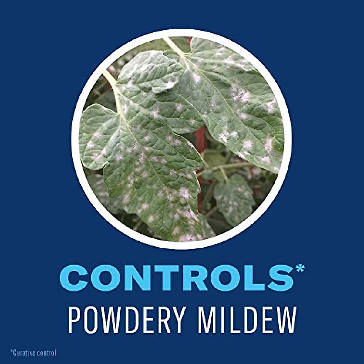 BioAdvanced Organics Brand Tomato, Vegetable & Fruit, Ready-to-Use, 24 oz