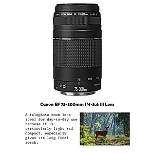Canon EOS Rebel T7 DSLR Camera Bundle with Canon EF-S 18-55mm f/3.5-5.6 is II Lens + Canon EF 75-300mm f/4-5.6 III Lens + 2pc SanDisk 32GB Memory Cards + Accessory Kit