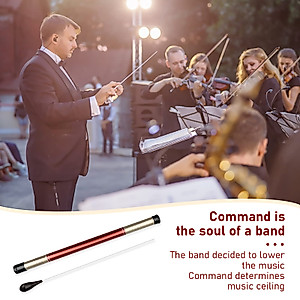 SDARMING Conducting Baton, Conductor Baton, Music Baton, Orchestra Baton With Storage Cylinder Ebony Handle, Music Baton for Choral Orchestral Concerts (Ebony Handle)