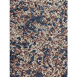 English Creek Supply Corn Free Special Mix Wild Bird Seed (40 Lb Bag)