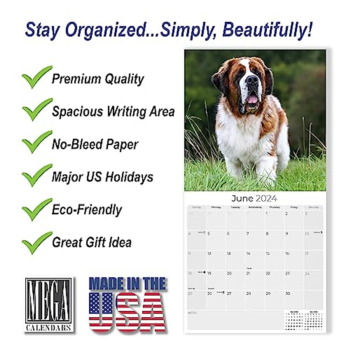 2023 2024 St Bernard Calendar - Saint Bernard Dog Breed Monthly Wall Calendar - 12 x 24 Open - Thick No-Bleed Paper - Giftable - Academic Teacher's Planner Calendar Organizing & Planning - Made in USA