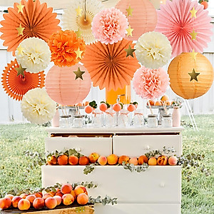 Beige Orange Peach Fall Party Decorations Boho Orange Peach Birthday Decorations Paper Fans Lanterns Peach and Cream Party Decorations for Autumn Baby Shower Bridal Shower Wedding Engagement Party
