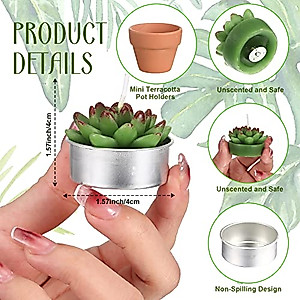 12 Pieces Succulent Candles Novelty Handmade Cactus Tealight Candle Delicate Stylish Plant Candle Mini Cactus Candles for Party Favors Baby Shower Decorations Wedding Gifts Birthday (Cute Style)