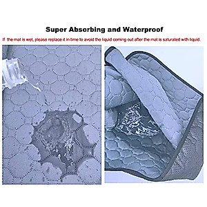 DEOMAN pet Heating pad for Dogs and Cats with 2 pcs Washable Dog Pee Pads