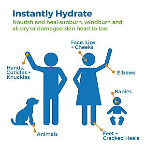 Waxhead After Sun Lotion Sunburn Relief, Miracle Tattoo Balm, Salve for Dry Cracked Hands, Healing Salve Sun Burn Healing Cream Aftersun Sunburn Cream for Eczema with Hemp Seed Oil + Shea Butter (2oz)