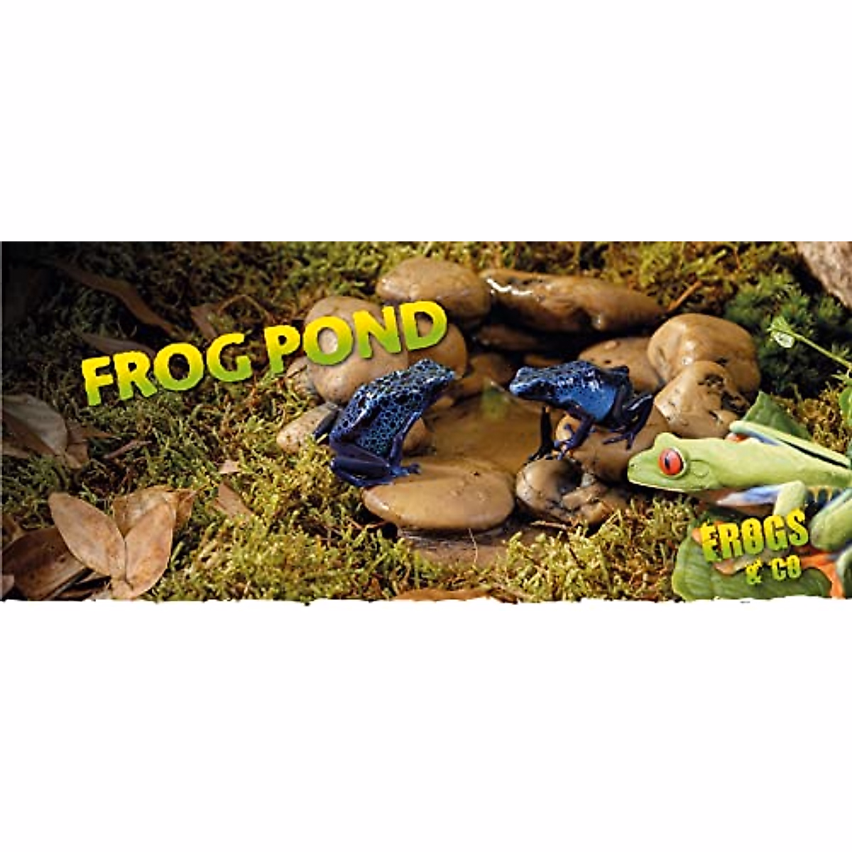 Exo Terra Frog Pond, Amphibian Terrarium Water Source, Large