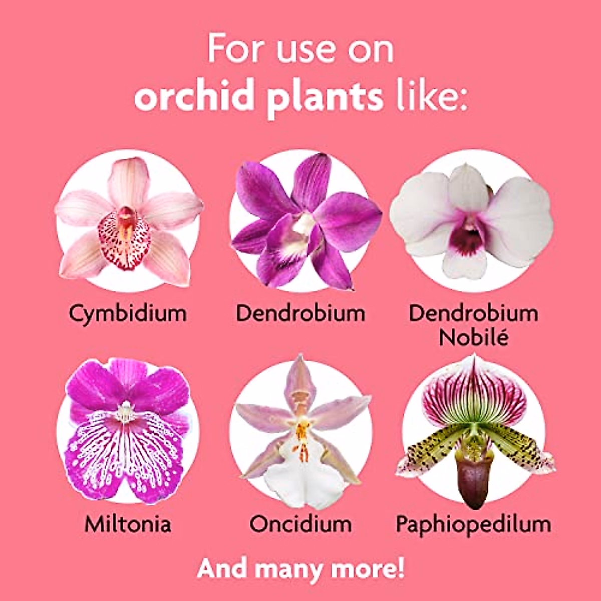 Miracle-Gro Ready-To-Use Orchid Plant Food Mist, 8 oz., Orchid Food Feeds Plants Instantly, 1 Pack