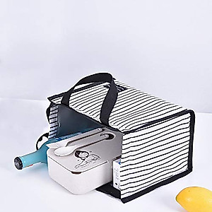 Pack of 2 Insulated Lunch Bag for Women Men, Stylish Lunch Tote Bag, Medium + Large Handbag with Zipper Lunch Box for Work, School, Shopping