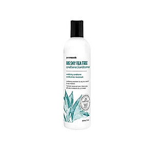 Prairie Naturals Big Sky Tea Tree Conditioner, 16.89 Fluid Ounce
