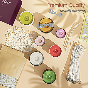 Etienne Alair Natural Soy Wax Kit - Includes; 10 Lbs Soy Candle Wax Flakes, 100 Cotton Wicks, 2 Wick Holders.