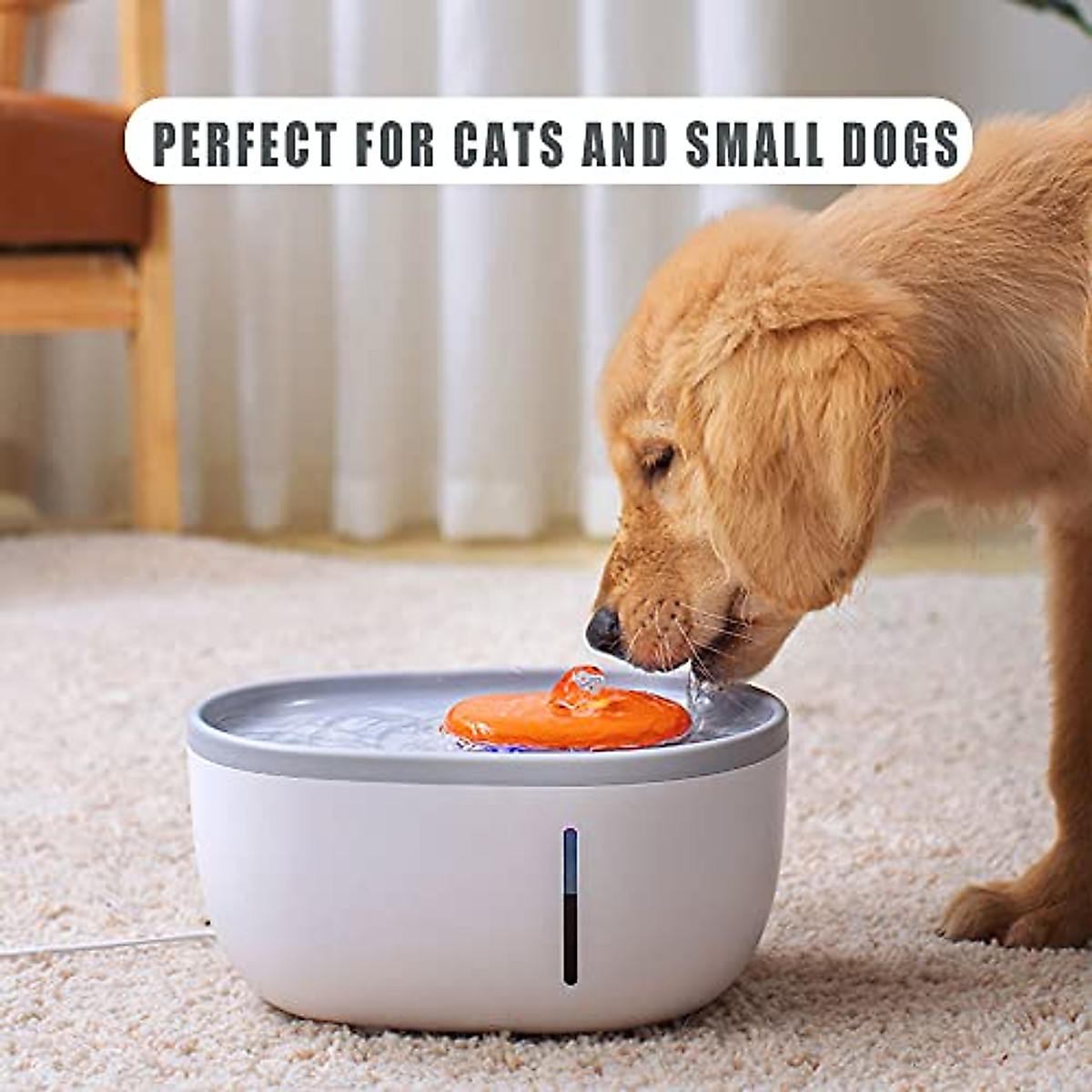 YNNICO Pet Fountains - Best for Cats and Small to Medium Dogs - Fresh, Filtered Water Dispenser - 1/2 Gallon Capacity (Fresh White)
