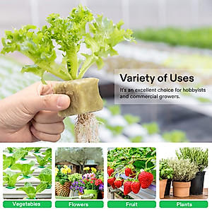 VIVOSUN 1.6" Rockwool Cubes, 28 Plugs Stonewool Starter Grow Cubes for Cuttings, Cloning, Plant Propagation, Seed Starting, Hydroponic Grow Media for Vigorous Plant Growth, 1 Sheets of 28 Plugs