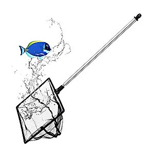 Grepol-V Fish Net for Fish Tank, 5 Inch Fine Mesh Aqurium Net with 9-24 Inch Stainless Steel Long Handle, Extendable Fishing Tank Net for Fish Shrimp Tank, Pond, Creek