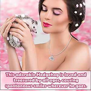 Lola Bella Gifts Crystal Hedgehog Fashion Necklace with Gift Box (Silver-tone)