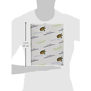 Hammermill Colored Paper, 20 lb Blue Printer Paper, 8.5 x 11-1 Ream (500 Sheets) - Made in the USA, Pastel Paper, 103309R