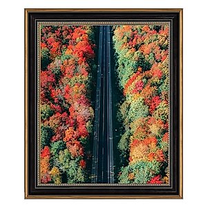 Space Art Deco, 16x20 Ornate Picture Frame Without Mat for 16x20 Photo,Shatter-Resistant Glass Sawtooth Hangers Wall Mount Display(Color Black/Ornate Gold)
