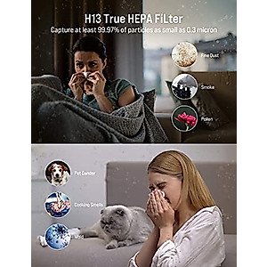 TOPPIN Filter Replacement TPAP005 AP005 TP-AP005 Air Purifier H13 True HEPA Air Filter to Clean Pets Hair Smoke Odors Dust Pollen Home and Room 2000 sq ft
