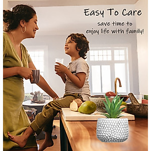 CADNLY Small Artificial Plants in Pots - Fake Plants for Bathroom Office Desk - Faux Succulents Succulents Decor 1 Pack