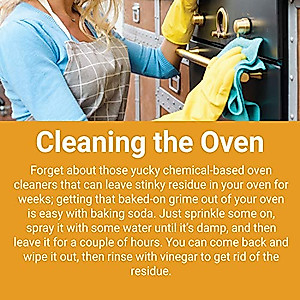 Arm & Hammer Double Duty Clumping Cat Litter, 14lb