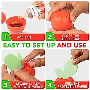 Fruit Fly Traps for Indoors, Gnat Traps for House Indoor, 2 Apple Pack. Fruit Fly Killer Trap. Kitchen and Indoor House Plants Fungus Gnat Traps with 10 Sticky Indoor Fly Traps and 1 Oz Liquid Bait.