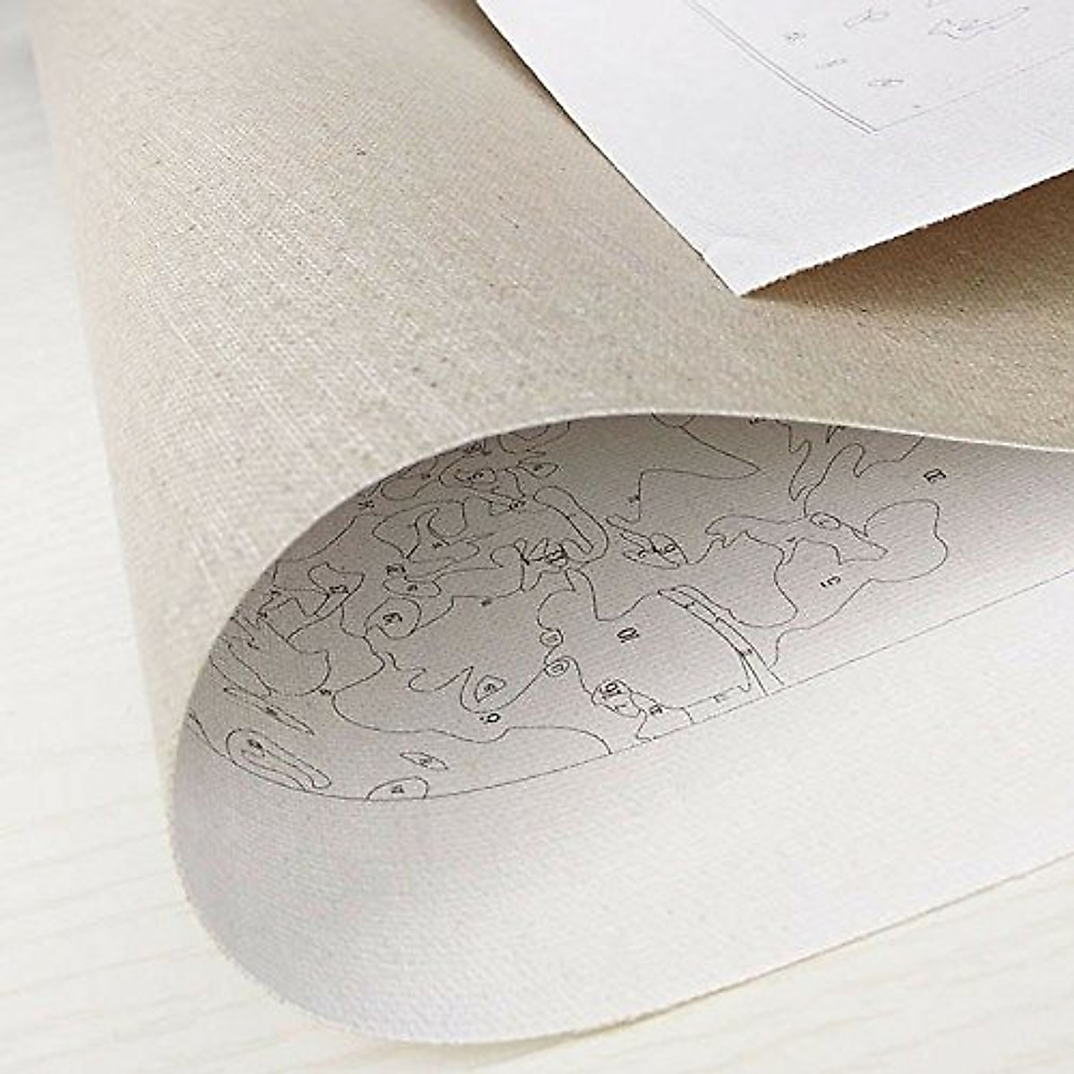 DIY Paint by Numbers Canvas Painting Kit for Kids & Adults, 16" x 20" Drawing Paintwork with 3 Paintbrushes Acrylic Paints - Village in The Night