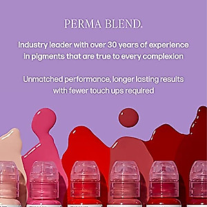 Perma Blend Brow Daddy Eyebrow Tattoo Ink - Schokolade - Brown Microblading Pigment for Permanent Makeup Professionals - Brown Ink for Brow Tattoo, Eyeliner and Lip Blushing - Vegan (0.5 oz)