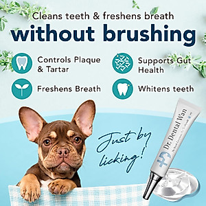 Brushless Organic Dog Toothpaste | Dog Breath Freshener | Dog Tooth Brushing Kit | Dog Teeth Cleaning | Reduce Plaque & Tartar | Vet Formulated (DR. DENTAL WAN Enzymatic Toothpaste for Dogs)