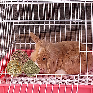 Hamiledyi Rabbit Chew Toys,Timothy Hay Ball Natural Flower Flavored Bunny Chew Treats Molar Snacks for Guinea Pig Chinchilla Gerbil Squirrel Teeth Grinding(34 Pcs)