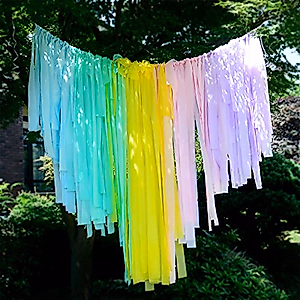 Melody Fantasy Ice Cream Party 200pcs Plastic Strips Streamer Backdrop Pastel Streamer Fringe Curtain Rainbow Backdrop Streamers for Girls Birthday Candyland Party Background Pastel Party Decorations