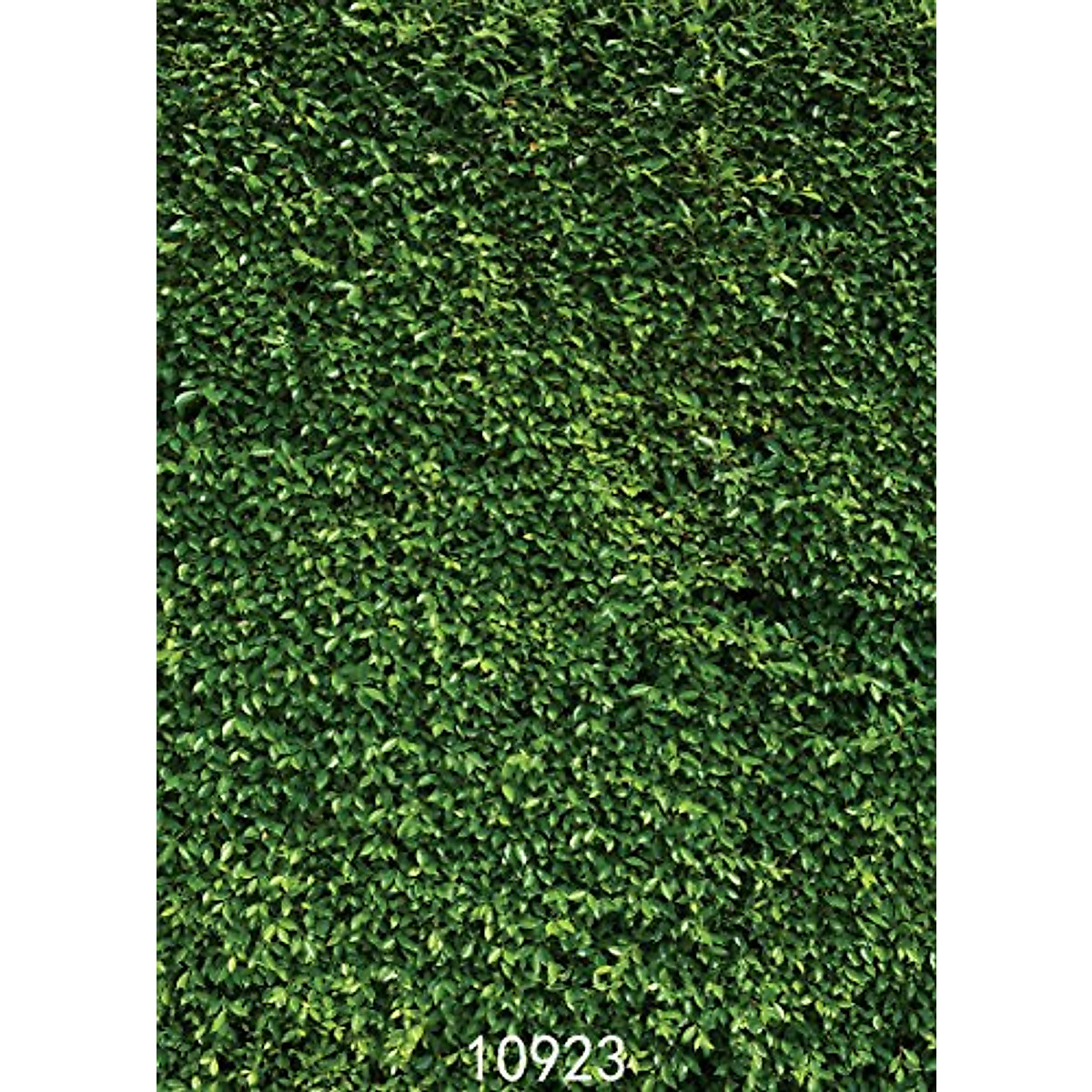 SJOLOON 5X7ft Green Leaves Backdrop Grass Backdrop Natural Green Lawn Party Photography Backdrop Birthday Newborn Baby Lover Wedding Photo Studio Props 10923