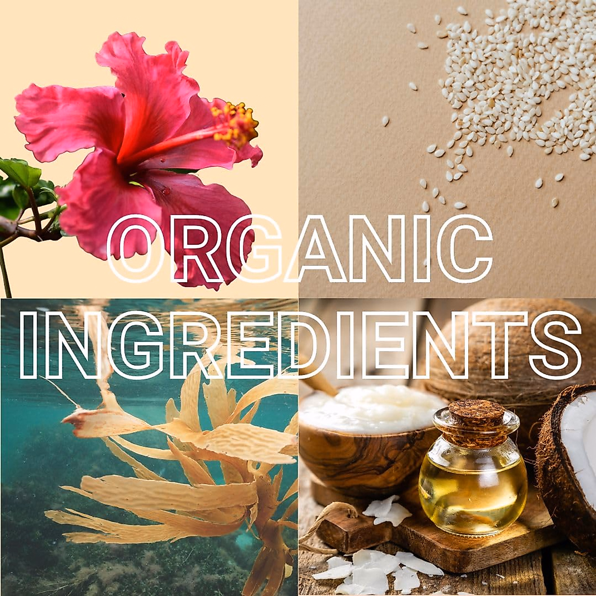 Organic Anti Aging Anti Wrinkle Serum | Award Winning Face Serum to Reduce Wrinkles and Fine Lines | Firming, Tightening, Lifting, & Rejuvenating | Hydrating Natural Organic Skin Care