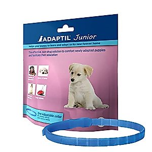 ADAPTIL Junior Puppy Calming Pheromone Collar