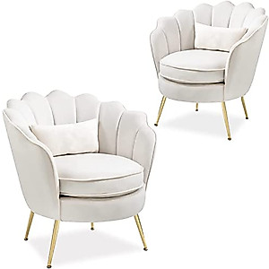 ZJhome Modern Accent Velvet Chairs Shell Shape Barrel Chairs Comfy Upholstered Vanity Chairs for Bedroom Armchair Chairs with Golden Metal Legs Makeup Chairs for Living Room (White)
