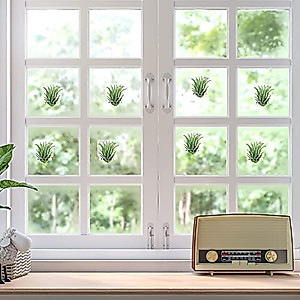 Jetec 12 Pcs Air Plants Holder, Acrylic Air Plant Hanger with Mounting Tape for Hanging Air Plants on Glass Display Home Decoration, Plants Not Included