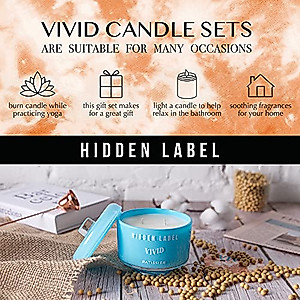 Hidden Label Scented Candles, Soy Candles for Home Patissier 2 Wicks 8.1oz Vivid Collection, Candle Set Gifts for Women Birthday Valentines Day Mothers Day Christmas