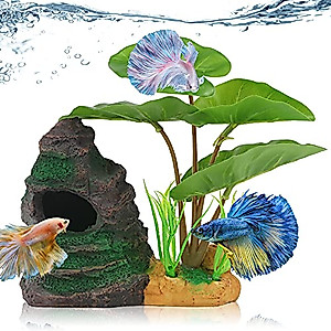 COOSPIDER Betta Fish Leaf Pad Hammock Aquarium Decoration Cichlid Fish Tank Resin Rock Mountain Cave Ornaments Fish Bowl Decorations for Sleeping Resting Hiding Playing Breeding