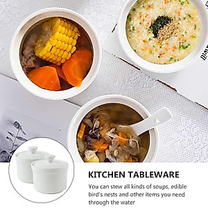 Luxshiny 2pcs Soup Cups with Lids White Ceramic Stew Pot with Lid Steam Soup Bowl Steaming Cup Soup Noodle Bowl Stockpot Cookware for Egg Custard Medicinal and Birds Nest 4 Inches