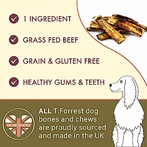 T. Forrest Beef Rib Dog Bones 6-8" (6 Pack) Natural Grass Fed Made in UK
