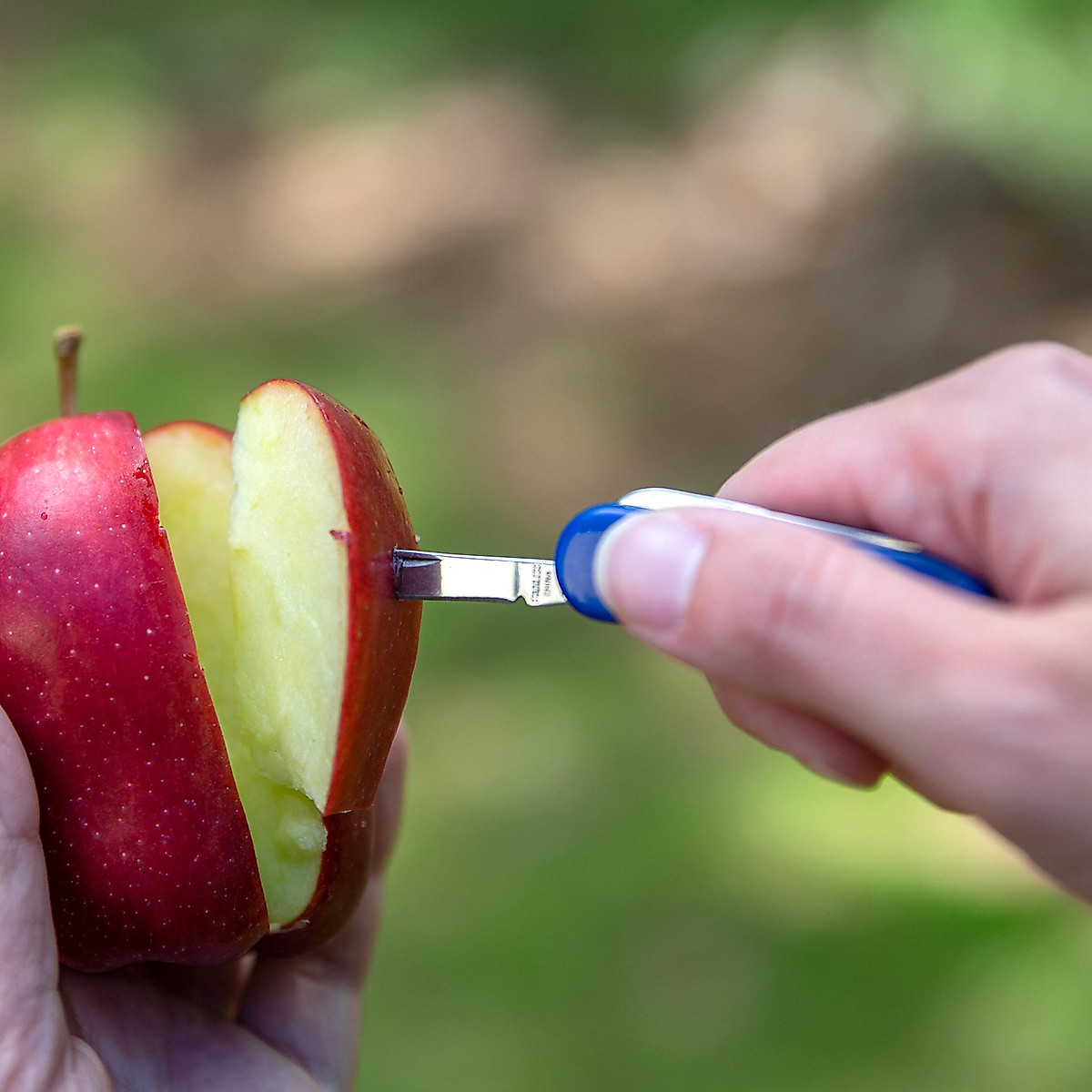 MAXAM Multi-Function Army Knife - Blue Mini Multi-Tool, Pocket Knife with Scissors