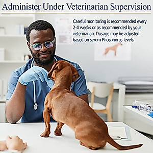 Rx Vitamins for Pets Phos-Bind for Dogs & Cats - Supports Normal Function & Health of Kidneys - 200 g Powder
