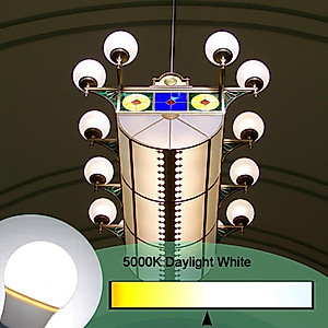 NETEHA 2 Pack A15 5W 120V E26 Base LED Refrigerator Light Bulb, Non-Dimmable 50W Equivalent 5000K Daylight White LED Appliance Light Bulb for Ceiling Fan and Lighting Fixtures