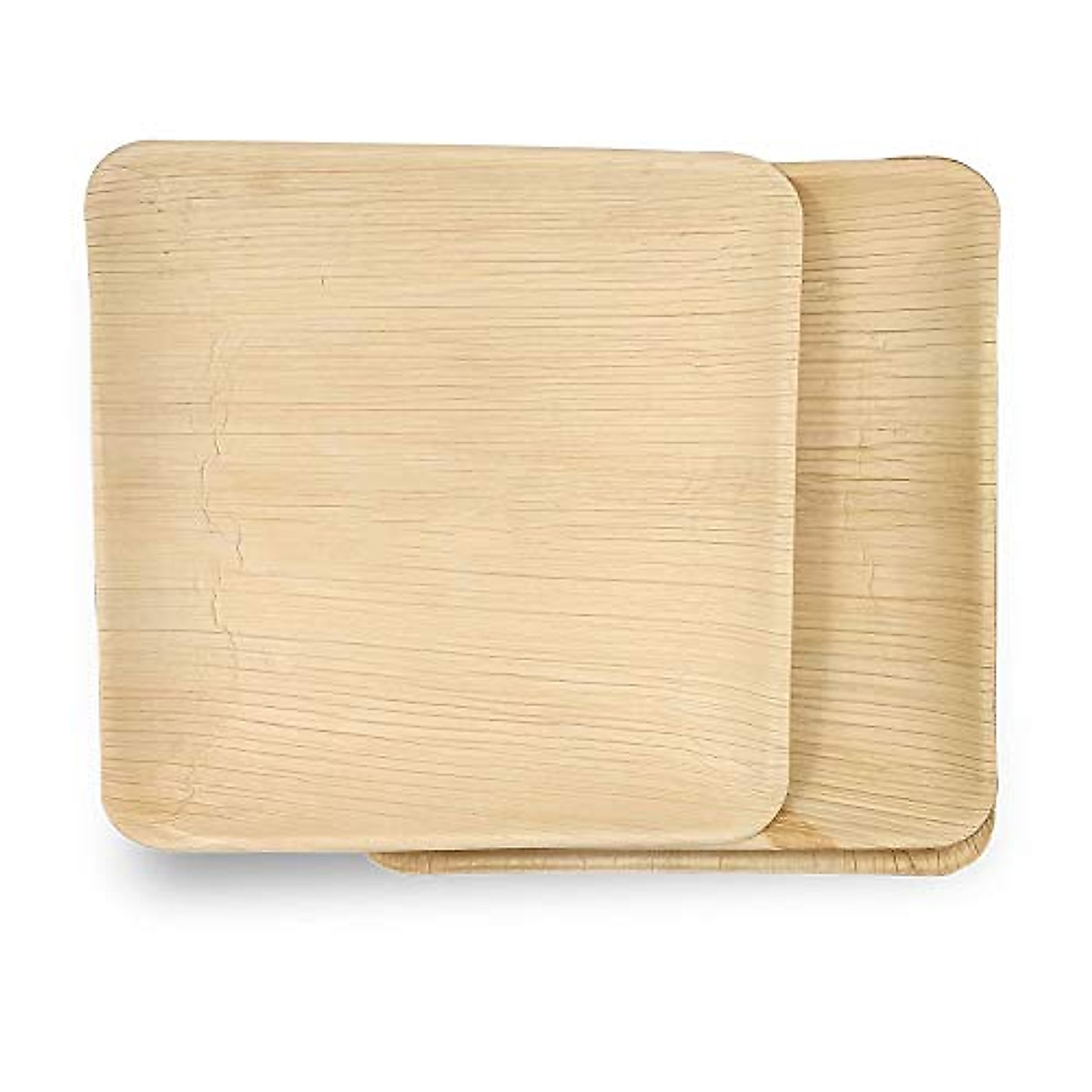 Dtocs Palm Leaf Plates 10 Inch Square 50 Pack Dinner Plate | Disposable Bamboo Plate Like Compostable Plates, Charcuterie Board, Cheese Platter | Wedding Plate Set Better Than Paper Plates